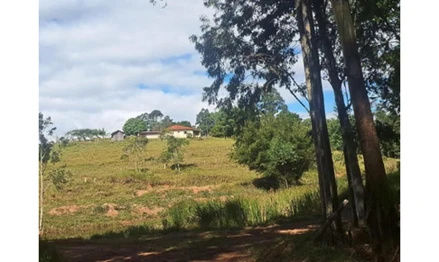 Fazendas em Leilão em Ribeirão Claro / PR - Imóvel 2892322 - Leilão Imóvel