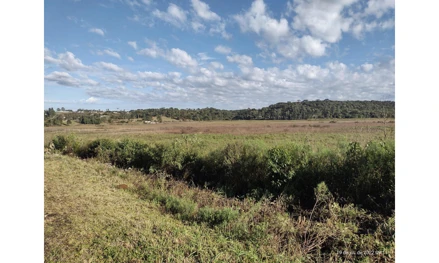 Terreno Rural em Leilão em Inácio Martins / PR - Imóvel 2646724 ...