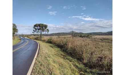 Terreno Rural em Leilão em Inácio Martins / PR - Imóvel 2646724 ...