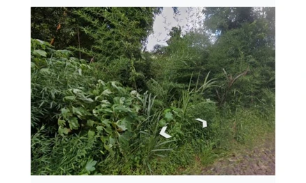 Terreno em Leilão em Barão De Cocais / MG - Imóvel 2648137 - Leilão Imóvel